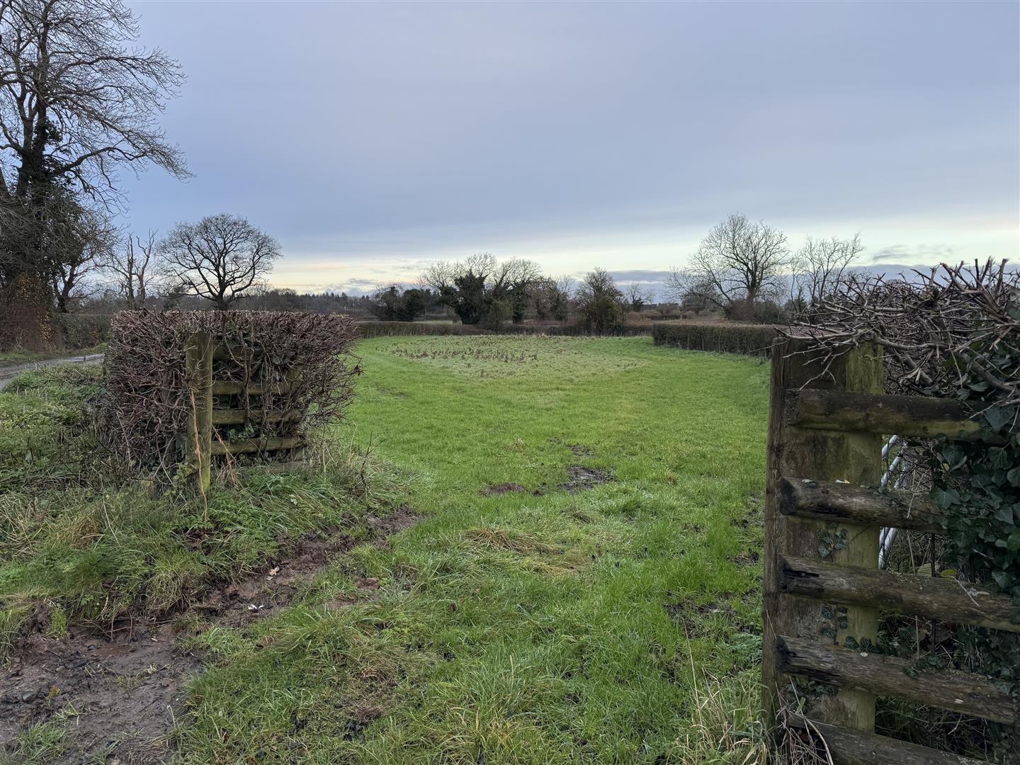 Paddock at Paddock Lane, Rowton, Shrewsbury - Roger Parry & Partners