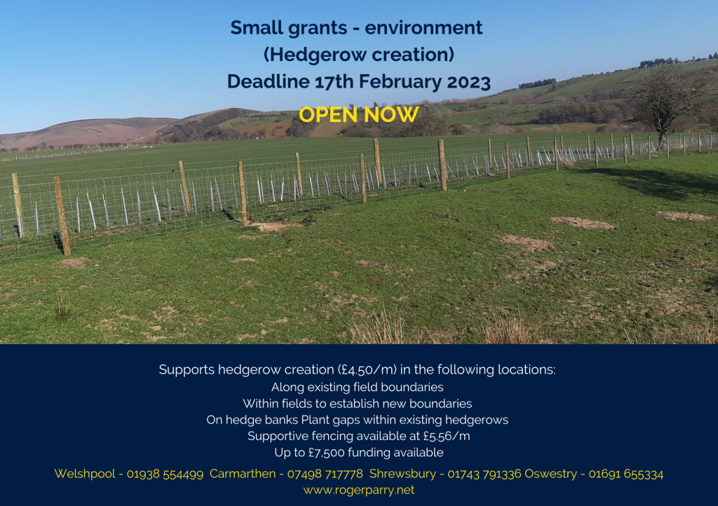 Small Grants- environment (Hedgerow creation) - Roger Parry & Partners